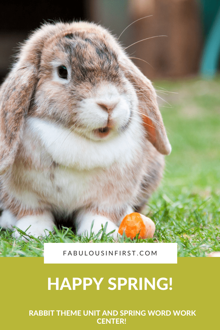 Happy Spring! - Fabulous In First